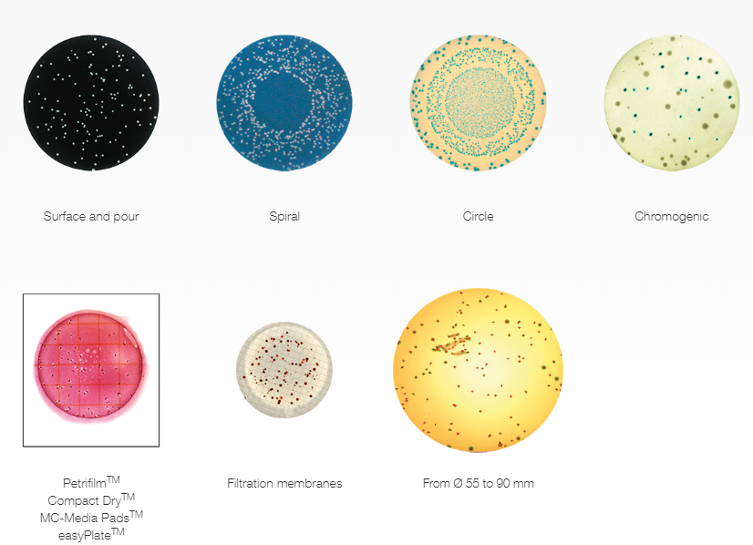 Manual colony counter Scan 50 and 50 PRO | Danlab